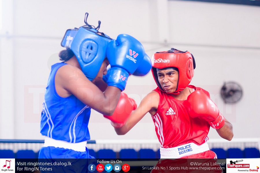 Photo Album : Intermediate Boxing Tournament - Semi Finals