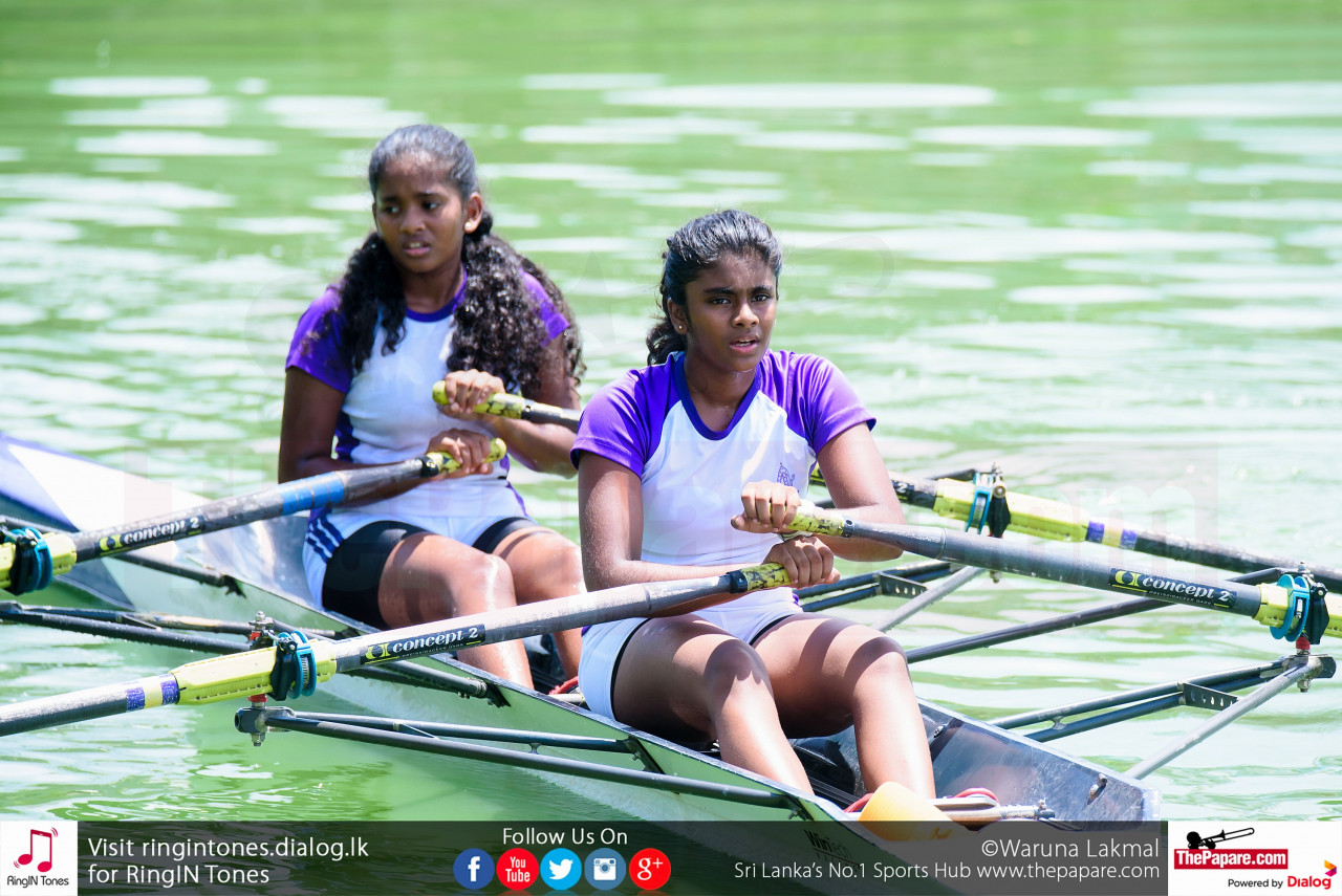 Photos: Colombo Rowing Regatta