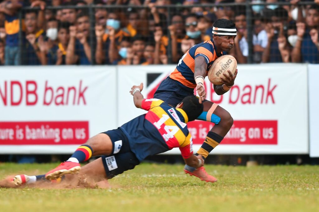 Dominant Royal down rusty Trinity