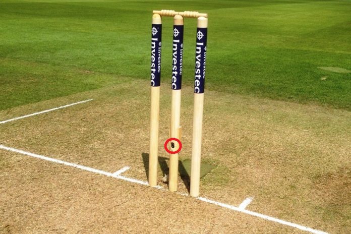 Cricket and Cameras – the marvels of technology