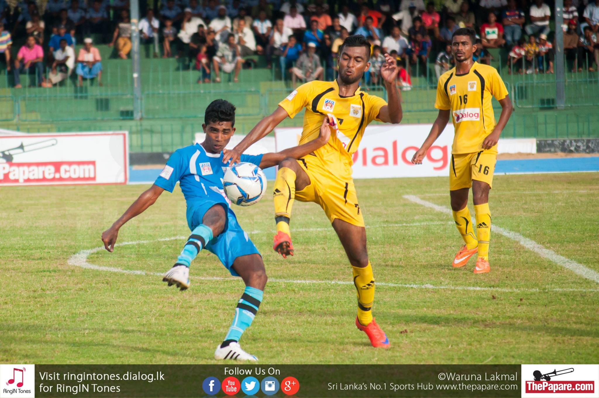 Frank and Dimitri double down Air Force