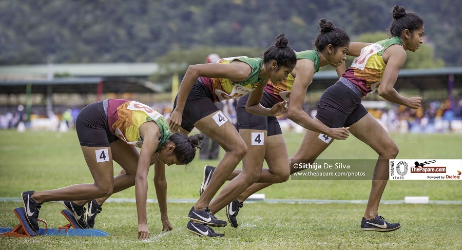 Photo Story - දිගනෙන් බිහි වූ පුංචි සෙබළිය