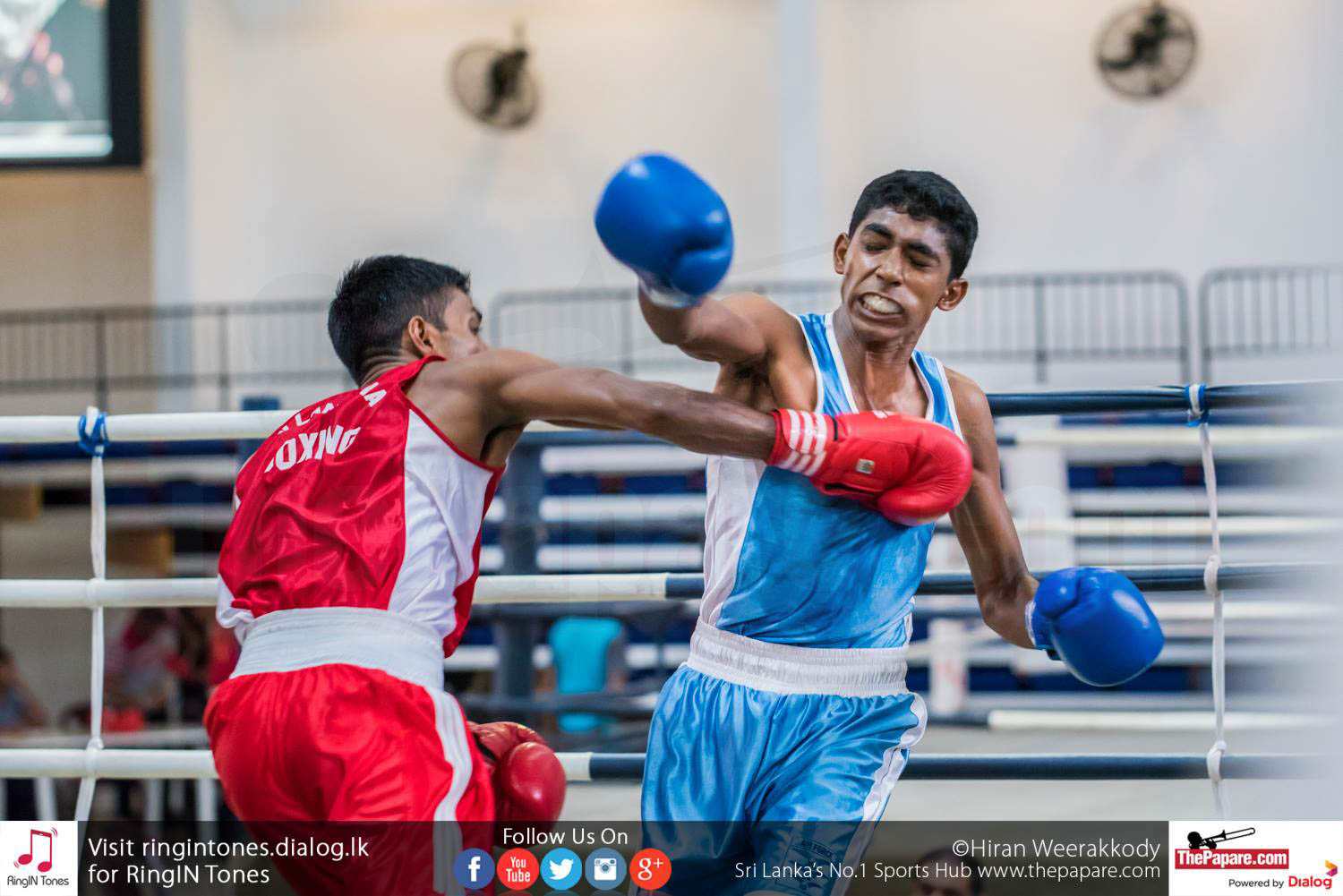 Photos: Intermediate Boxing Meet 2017 - Day 1