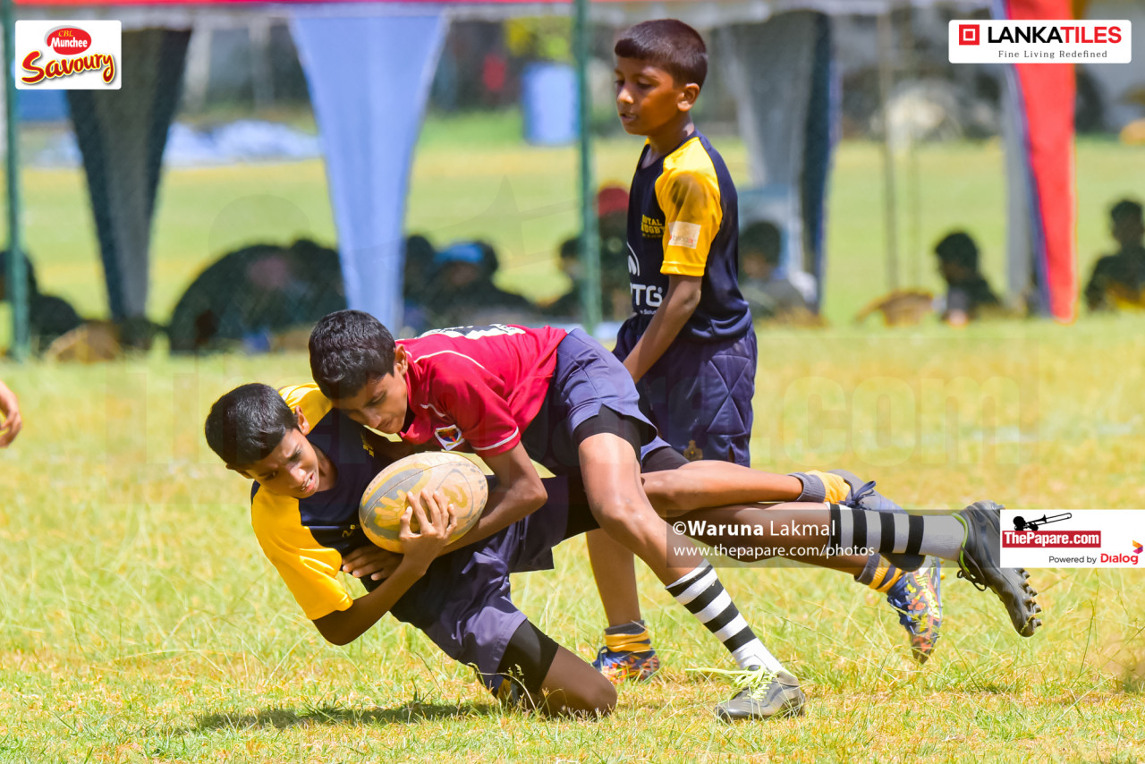Photos - Royal College vs Trinity College | U12 & U14 Rugby Match
